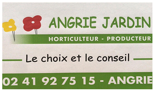 ASP ANGRIE – PASSION, COMPÉTITION, FOOTBALL